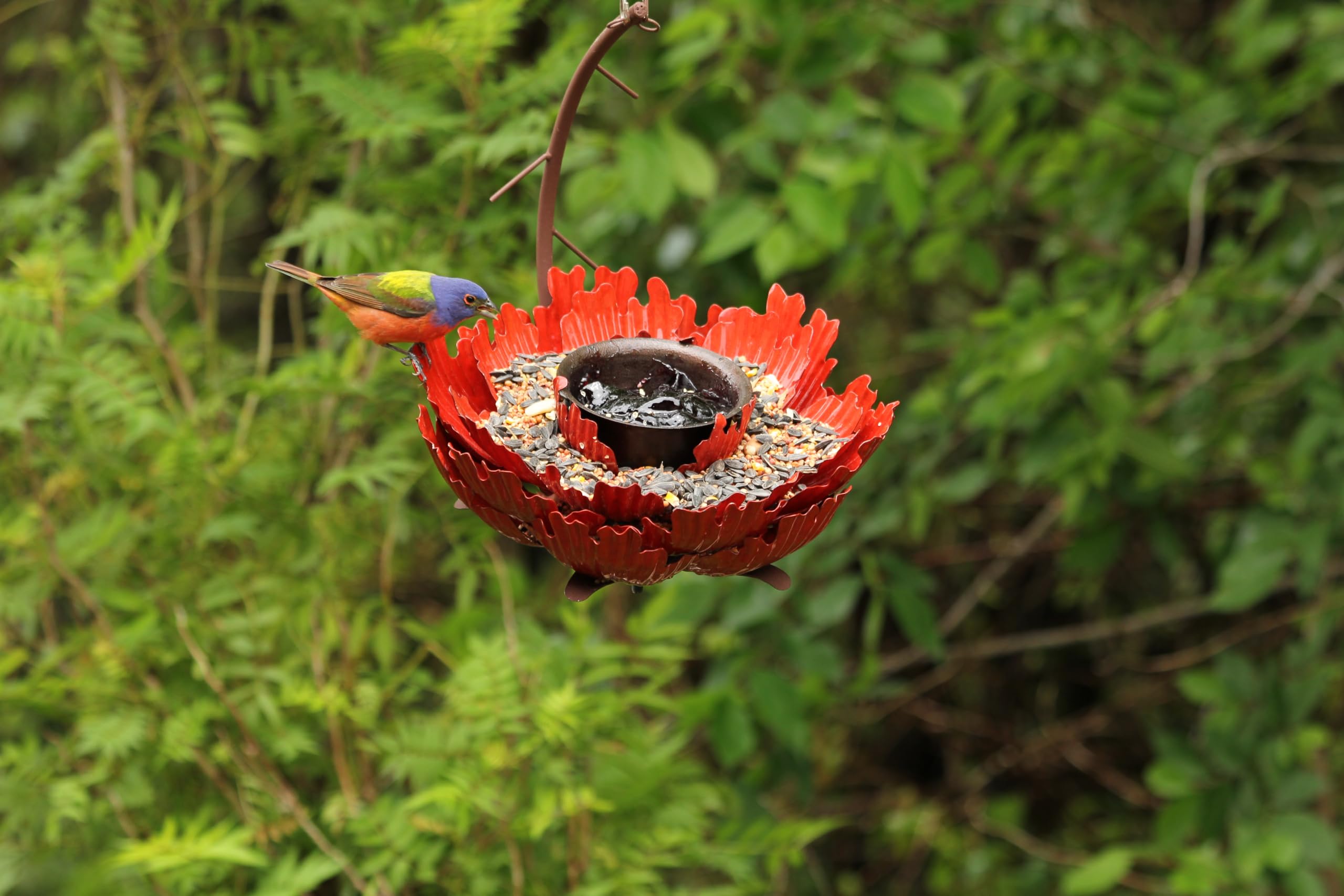 Desert Steel Coral Sunset Peony Hanging Feeder - (Orange - 9”W x 11.5”H) - Loose Seed Metal Birdfeeder