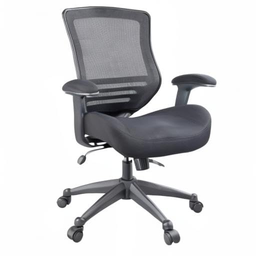 BOLISS Ergonomic Office Computer Desk Chair Height Adjusting Arm Waist Support Function-Black