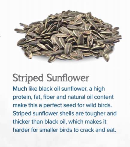 Backyard Seeds Striped Sunflower Bird Seed (35 Pounds)