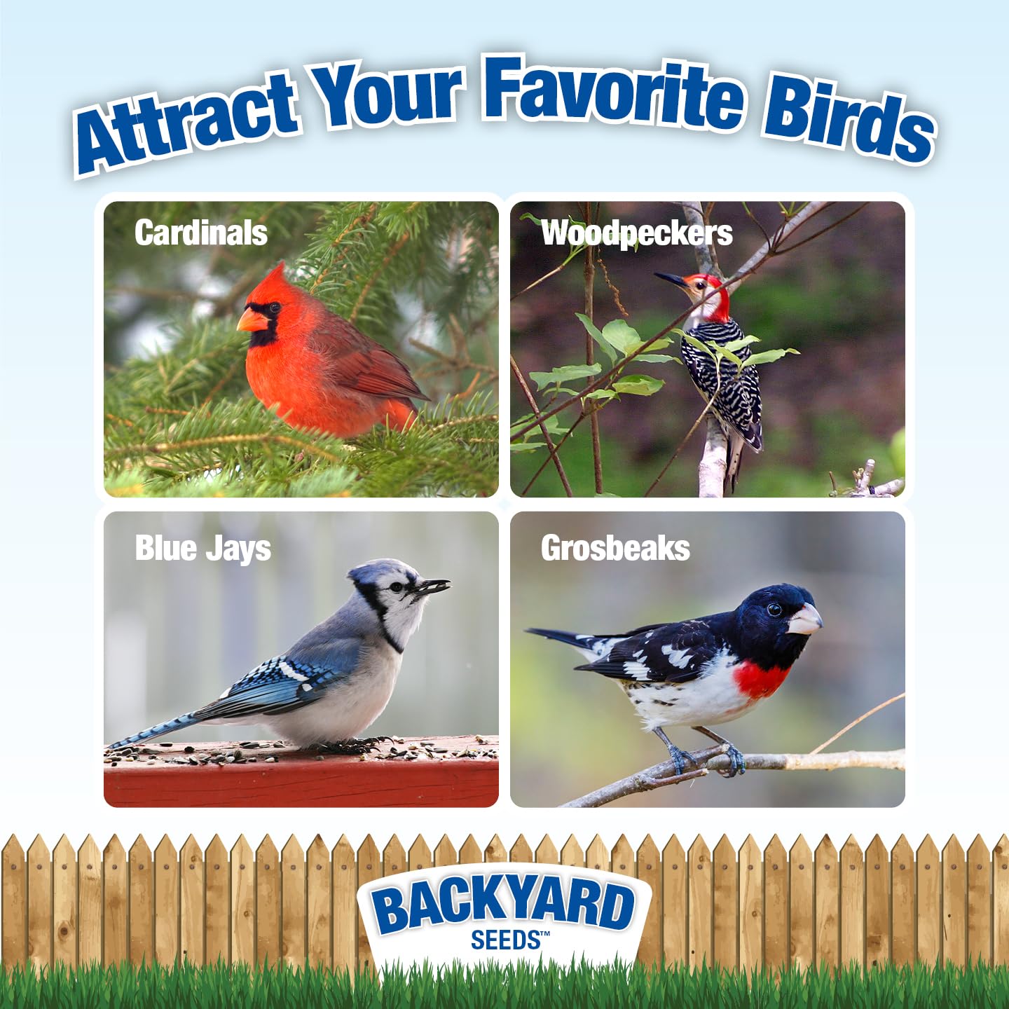 Backyard Seeds Striped Sunflower Bird Seed (35 Pounds)