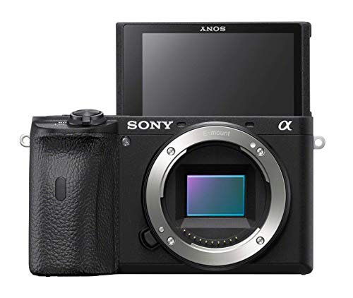 Sony Alpha A6600 Mirrorless Camera with 18-135mm Zoom Lens (Renewed)