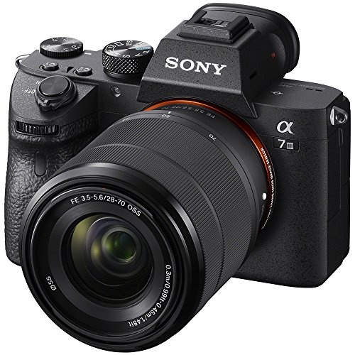 Sony a7III Full Frame Mirrorless Interchangeable Lens Camera with 28-70mm Lens + 64GB Memory & Flash a7III Accessory Bundle