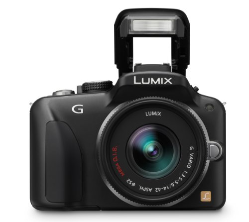 Panasonic LUMIX DMC-G3 16 MP Micro Four-Thirds Interchangeable Lens Camera with 3-Inch Free-Angle Touch-Screen LCD and 14-42mm Lumix G VARIO f/3.5-5.6 Lens