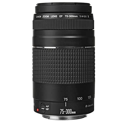 Canon EOS Rebel T7 DSLR Camera w/EF-S 18-55mm f/3.5-5.6 is II Lens + EF 75-300mm f/4-5.6 III Lens + 500mm f/8 Focus Lens + 2X 64GB Memory + Case + Filters + Tripod + More (35pc Bundle)