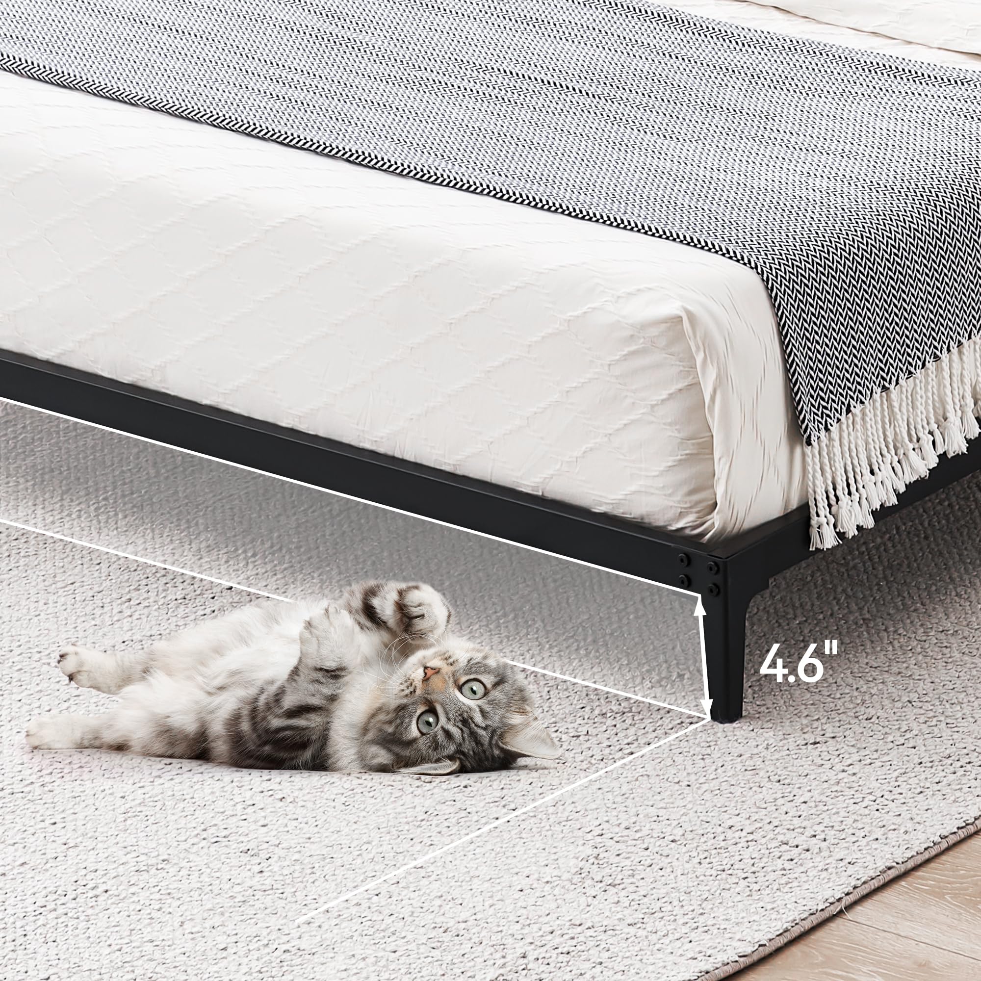 GAOMON 6 Inch Low Queen Bed Frame Heavy Duty Metal Mattress Foundation Platform Sturdy Steel Slat No Box Spring Needed, Easy Assembly, Noise Free