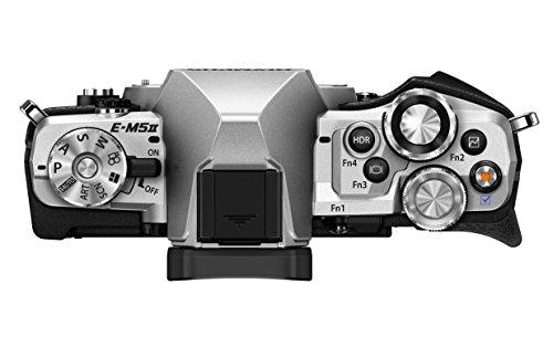 Olympus OM-D E-M5 Mark II Kit, Micro Four Thirds System Camera + M.Zuiko Digital ED 14-150 mm F4-5.6 Zoom Lens Silver