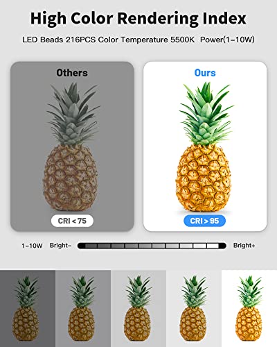 Glendan Light Box Photography, Portable Photo Studio Light Box, 16" x 16" Professional Dimmable Shooting Tent Kit with 216 LED Table Top Light & 6 Backdrops Photo Box for Product Photography