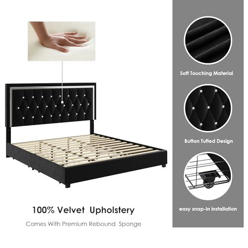 HITHOS Queen Size Bed Frame with 4 Storage Drawers and Adjustable Headboard, Modern Upholstered Platform Bed with Wood Slat Support, Diamond Button Tufted Design, No Box Spring Needed (Black, Queen)