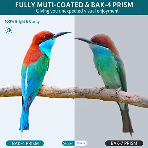 Sedpell HD Binoculars for Adults, High Power Binoculars with BaK4 prisms, IPX7 Waterproof with Phone Adapter Lightweight with Carrying Case and Strap Perfect for Bird Watching, Hunting, Travel