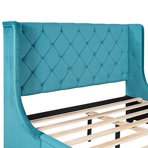 HAUSHECK Upholstered Bed Frame Queen Size with Big Drawer and Classic Button Tufted Wingback Headboard, Modern Platform Bed Frame w/Wooden Slats Support Mattress Foundation, No Box Spring Needed