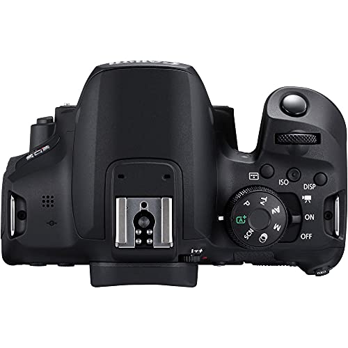Canon EOS Rebel T8i DSLR Camera with 18-55mm Lens (3924C002), 64GB Card, Case, Card Reader, Flex Tripod, Hand Strap, Cap Keeper, Memory Wallet, Cleaning Kit