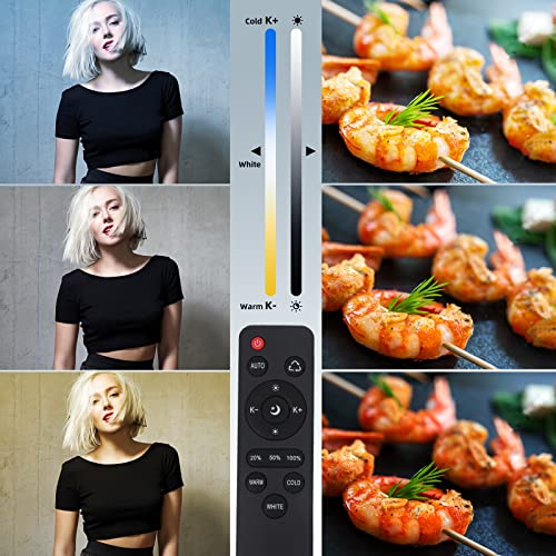 Softbox Lighting Kit, skytex Continuous Photography Lighting Kit with 2x20x28in Soft Box | 2X 85W 2700-6400K E27 LED Bulb, Photo Studio Lights Equipment for Camera Shooting, Video Recordingā¦