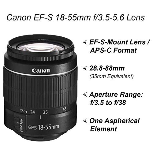 Canon EOS Rebel T7 Digital SLR Camera with EF-S 18-55mm Zoom Lens + SanDisk 32GB Memory Card + Tripod + Case + Wideangle Lenses + ZeeTech Accessory Bundle (20pc Bundle) (Renewed)