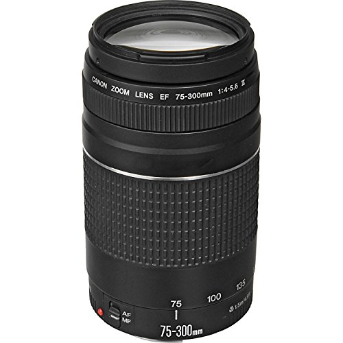 Canon Intl. EOS Rebel T7 DSLR Camera with EF-S 18-55mm f3.5-5.6 is II, EF 75-300mm f4-5.6 III Lense Bundle, Travel Kit + Accessories(Gadget Bag, Extra Battery, Digital Slave Flash), Black, CanonT7
