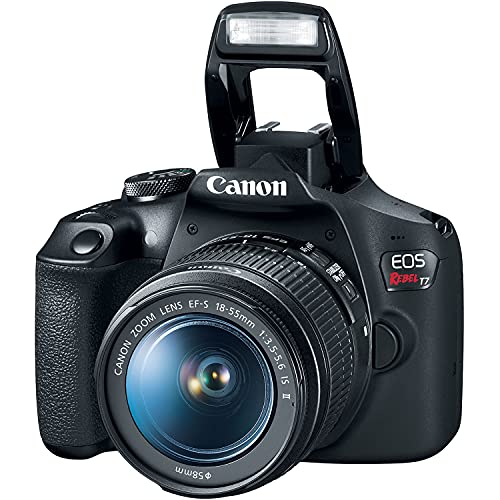 Canon Intl. EOS Rebel T7 DSLR Camera with EF-S 18-55mm f3.5-5.6 is II, EF 75-300mm f4-5.6 III Lense Bundle, Travel Kit + Accessories(Gadget Bag, Extra Battery, Digital Slave Flash), Black, CanonT7