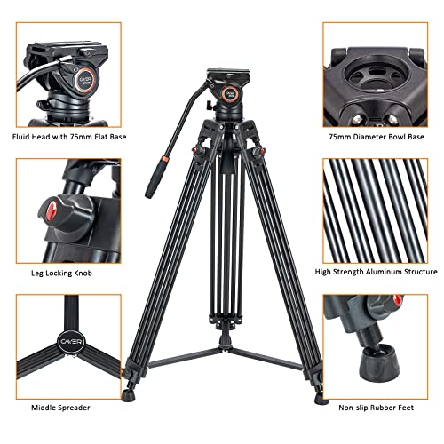 Video Tripod System, Cayer BV30L 72 inch- Professional Heavy Duty Aluminum Twin Tube Tripod, K3 Fluid Head, Mid-Level Spreader, Max Loading 13.2 LB, DSLR Camcorder, Plus 1 Bonus Quick Release Plate