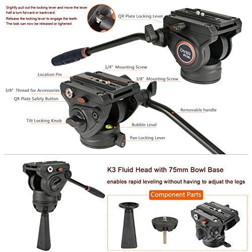 Video Tripod System, Cayer BV30L 72 inch- Professional Heavy Duty Aluminum Twin Tube Tripod, K3 Fluid Head, Mid-Level Spreader, Max Loading 13.2 LB, DSLR Camcorder, Plus 1 Bonus Quick Release Plate