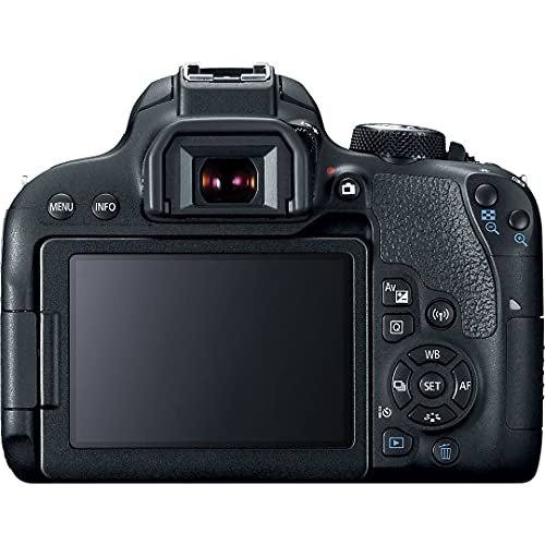 Canon EOS Rebel T7 DSLR Camera Bundle with EF-S 18-55mm f3.5-5.6 Zoom Lens + ZeeTech Accessory Bundle + 2 Pack SanDisk 128GB Memory Card + Filter Kit + Flash + Tripod, (Canon T7) (Renewed)