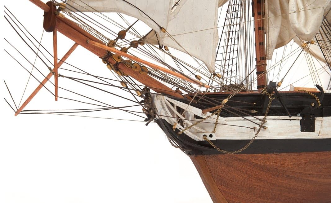 Occre 12005 HMS Beagle Detailed Scale Modelling Kit
