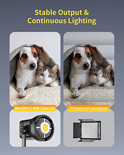 RaLeno 80W LED Studio Video Light, Continuous Lighting with 5600K 7200Lux@1M CRI 95+ Brightness Adjustable, Efficiency Cooling Fan and Bowens Mount, for YouTube Outdoor Video Recording Photography