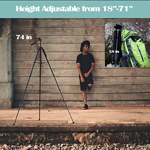 KINGJOY 74" Tripod for Camera Canon Nikon with Travel Bag, Phone Tripod with Wireless Remote and Phone Tablet Holder, Compatible with DSLR Cameras, Cell Phones, Tablets, Projector, Binoculars