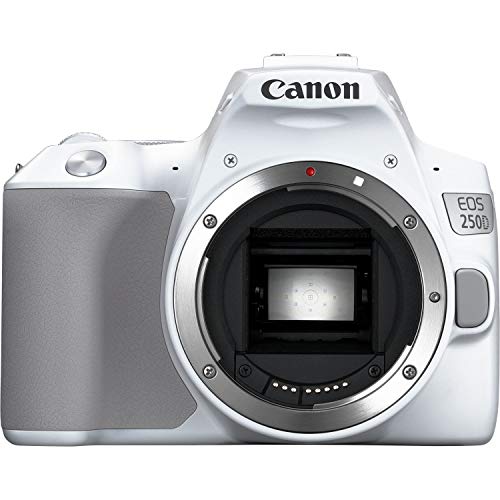 Canon EOS 250D / Rebel SL3 DSLR Camera (Body Only), (White) Canon EF 50mm Lens, 64GB Memory Card, Filter Kit, LPE17 Battery, External Charger, Card Reader + More (Renewed)
