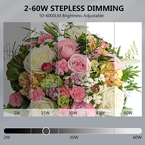 Photo Light Box Photography, Takerers Bi-Color Dimmable 24 x 24 inch Background Studio Shooting Tent Kit, 6 Color Backdrops, Foldable Picture Lightbox with 240 LED, 3000-6500K Lighting Booth