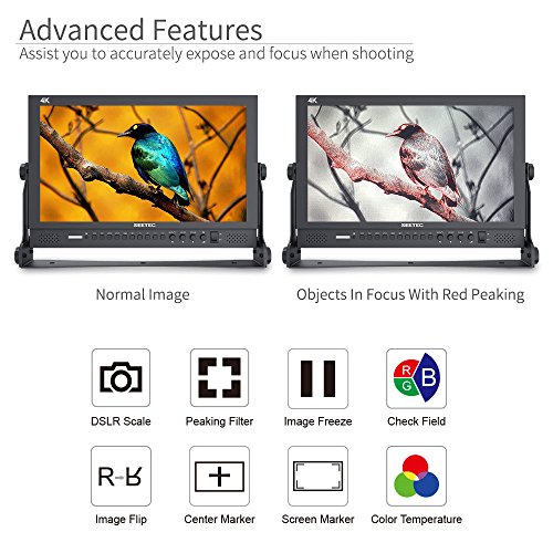 SEETEC P173-9HSD 17.3 Inch 1920x1080 Desktop Monitor for Broadcast LCD Monitoring with 3G-SDI HDMI AV YPbPr