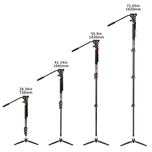Cayer CF34 Carbon Fiber Camer Monopod Kit, 71 inch Professional Telescopic Video Monopods with Video Fluid Head and Folding Support Base for DSLR Video Cameras Camcorders, Plus 1 Extra Sliding Plate