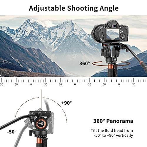Cayer CF34 Carbon Fiber Camer Monopod Kit, 71 inch Professional Telescopic Video Monopods with Video Fluid Head and Folding Support Base for DSLR Video Cameras Camcorders, Plus 1 Extra Sliding Plate
