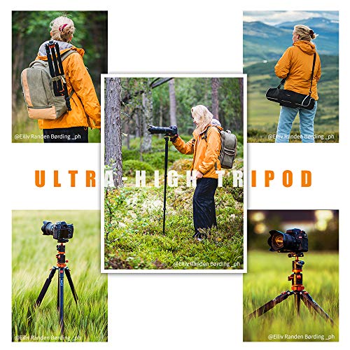 K&F Concept 94 Inch Camera Tripods 4 Section Ultra High Aluminum Professional Detachable Monopod Tripod with 360 Degree Ball Head Quick Release Plate for DSLR SLR Cameras T254A8+BH-28L (SA254T1)