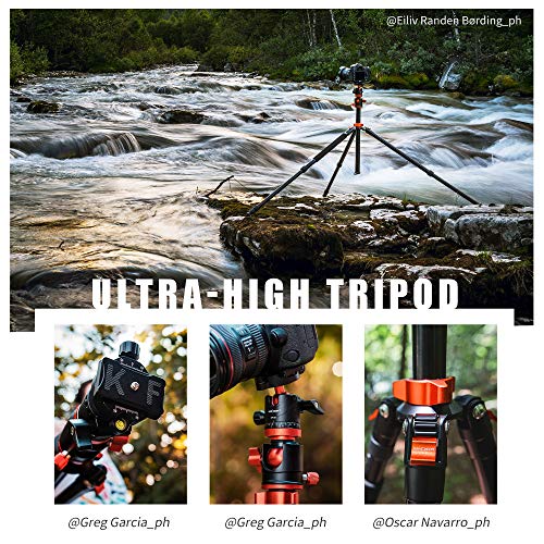 K&F Concept 94 Inch Camera Tripods 4 Section Ultra High Aluminum Professional Detachable Monopod Tripod with 360 Degree Ball Head Quick Release Plate for DSLR SLR Cameras T254A8+BH-28L (SA254T1)