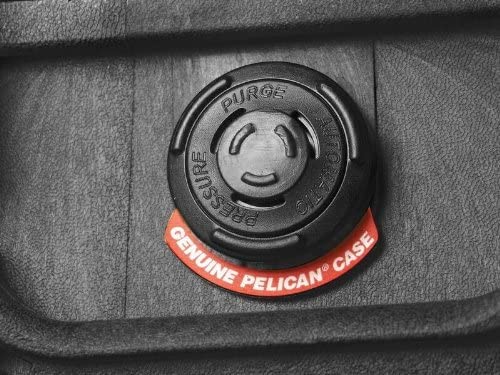 Pelican 1600 Case With Foam (Black)
