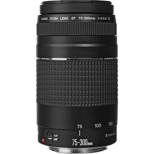 Camera Bundle for Canon EOS 6D Mark II DSLR Camera w/ 24-105mm USM Lens + EF 75-300mm III Lens, 50mm f/1.8, 500mm Lens & 650-1300mm Lens, TTL Flash, Backpack, 128GB Memory + Professional Bundle