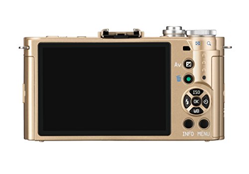 Pentax Q-S1 02 12.4MP Mirrorless Digital Camera with 3-Inch LCD (Champagne Gold)