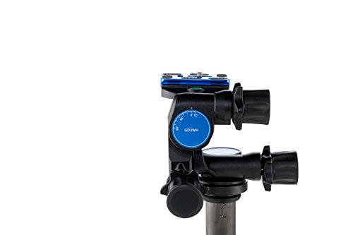 Benro 3-Way Geared Head (GD3WH), Black