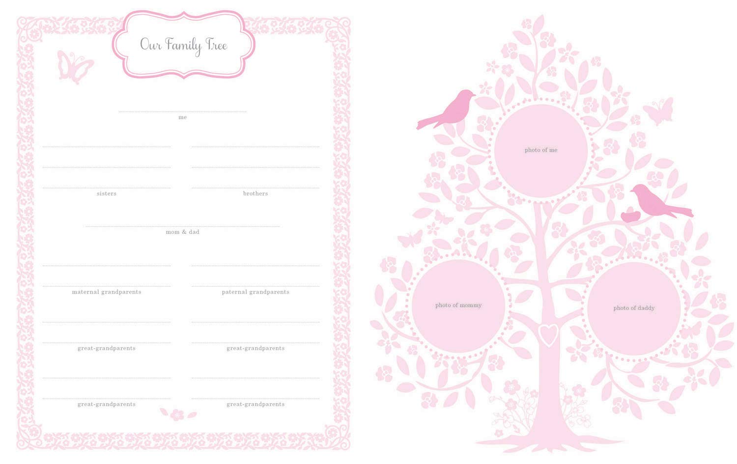C.R. Gibson Pink and White 'Sweet Baby Girl' Bound First Five Years Baby Book, 64pgs, 10'' W x 11.75'' H