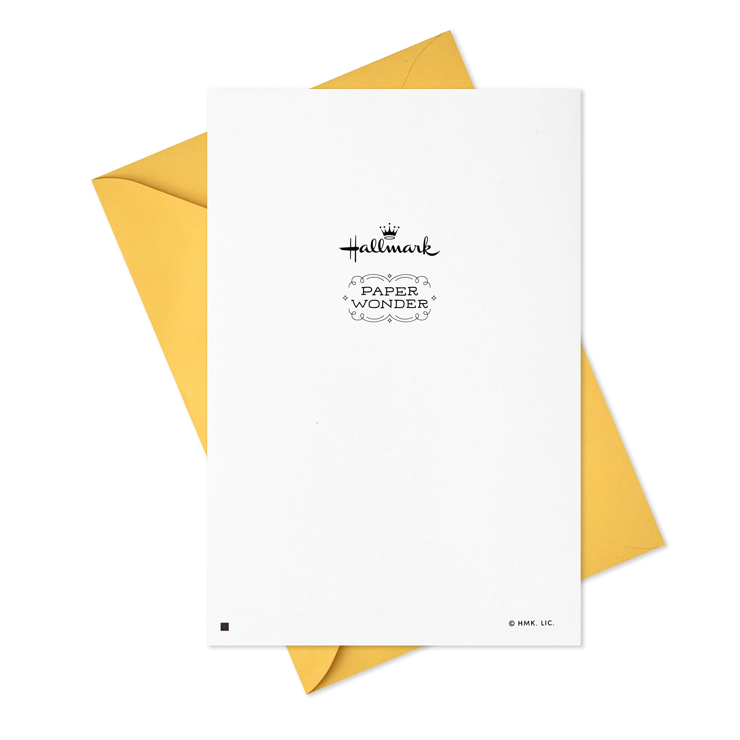 Hallmark Paper Wonder Pop Up Birthday Card (Someone to Celebrate)