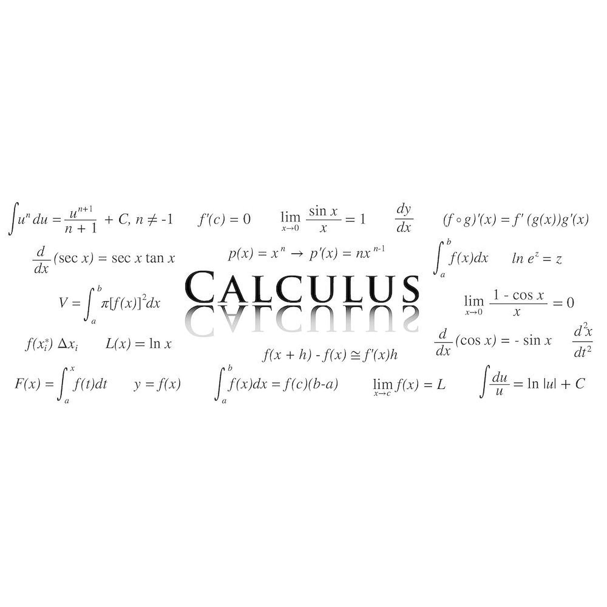 CafePress Calculus Equations Mugs Ceramic Coffee Mug, Tea Cup 11 oz