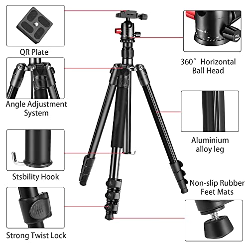 ZIKZOK Professional 62" DSLR Tripod Camera Tripods with Phone Holder for Travel, Super Lightweight and Reliable Stability, Ball Head Tripod Detachable Monopod with Carry Bag (Black)
