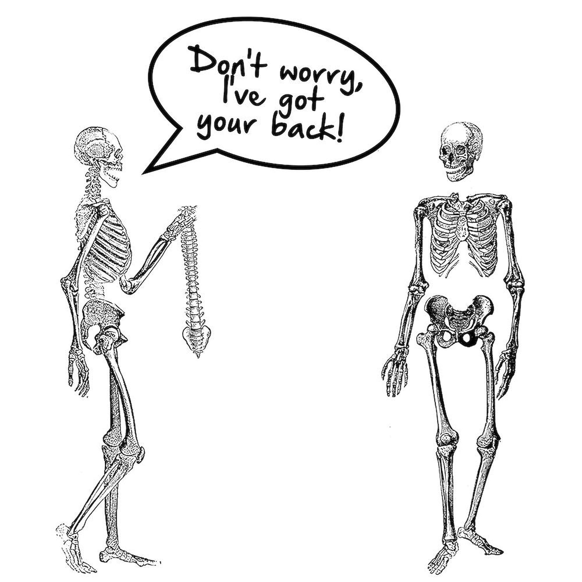 CafePress Skeletons I've Got Your Back Mug Ceramic Coffee Mug, Tea Cup 11 oz