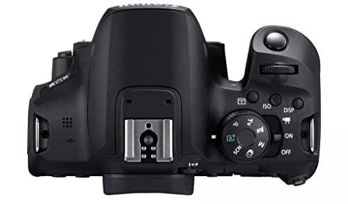 Canon EOS 850D (Rebel T8i) DSLR Camera with 18-55mm Lens Bundle + 420-800mm MF Zoom Lens + 2X 32GB Sandisk Memory + Accessory Bundle Including Auxiliary Lenses, Tripod, Camera case & More (Renewed)