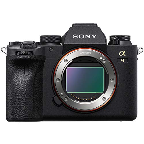 Sony a9 II Full Frame Mirrorless Interchangeable Lens Camera Body ILCE-9M2 Including Deco Gear Case Wireless Flash 64GB Memory Card Extra Battery Monopod Power Editing Bundle