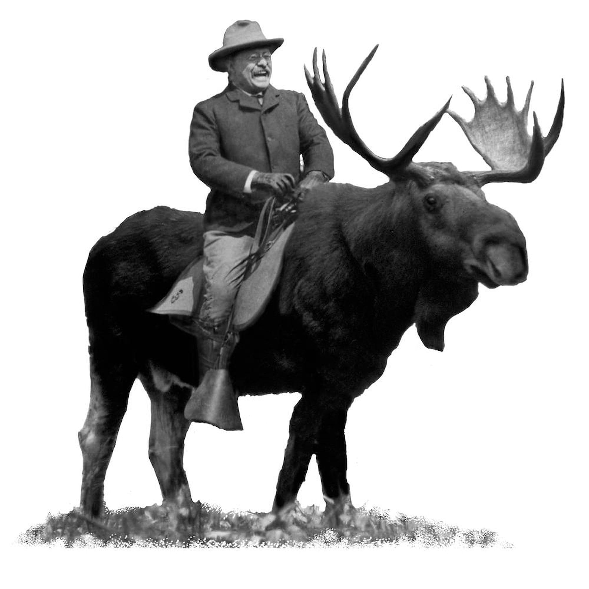 CafePress Teddy Roosevelt Riding A Bull Moose Mugs Ceramic Coffee Mug, Tea Cup 11 oz