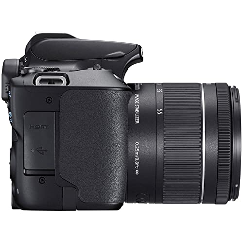 EOS Rebel SL3 DSLR Camera with EF-S 18-55mm f/4-5.6 is STM and EF 75-300mm f/4-5.6 III Lens + Accessory Bundle Kit (Flash, Travel Charger, Extra Battery, and More)