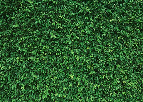 LYWYGG 10x8FT Green Leaves Photography Backdrops Nature Leaf Backdrop Birthday Background for Birthday Party Seamless Photo Booth Backdrop CP-87-1008