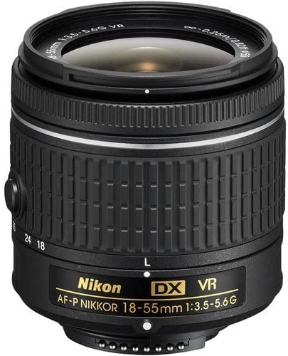 Nikon D5600 DSLR Camera Video Kit with AF-P 18-55mm VR Lens + LED Light + Deluxe Backpack + 64GB Memory + Professional Photo Accessories (19 Items) (Renewed)