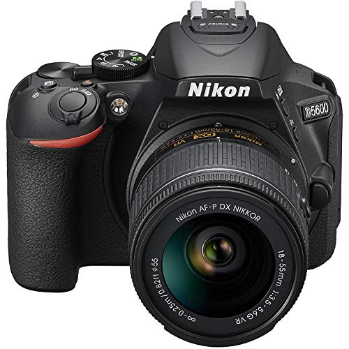 Nikon D5600 W/AF-P DX NIKKOR 18-55mm f/3.5-5.6G VR + Accessory Bundle (19pc Bundle) (Renewed)