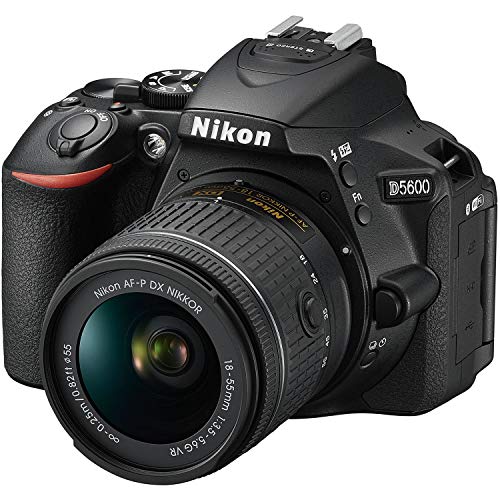 Nikon D5600 W/AF-P DX NIKKOR 18-55mm f/3.5-5.6G VR + Accessory Bundle (19pc Bundle) (Renewed)