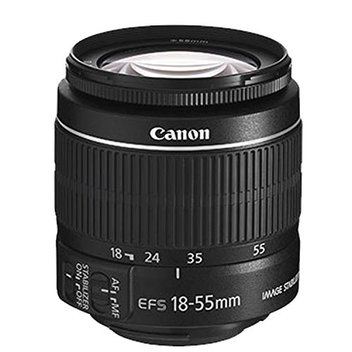 Canon EOS 2000D / Rebel T7 DSLR Camera w/ 18-55mm F/3.5-5.6 is II Lens + Canon Case + 32GB SD Card (13pc Bundle) (Renewed)